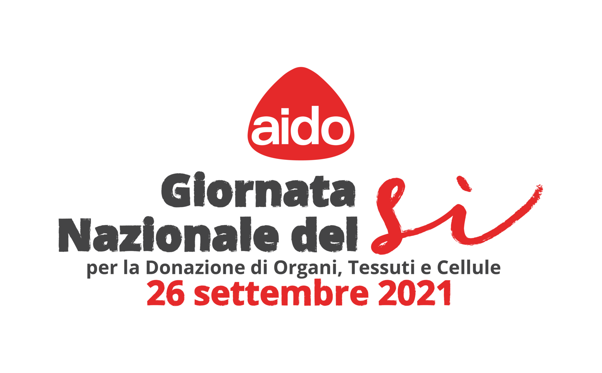 Dire sì alla donazione degli organi è più semplice: Aido presenta la ...