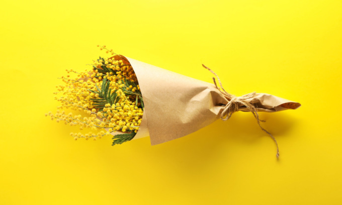 Cernusco sul Naviglio si avvicina all'8 marzo con "Passi di donna ...