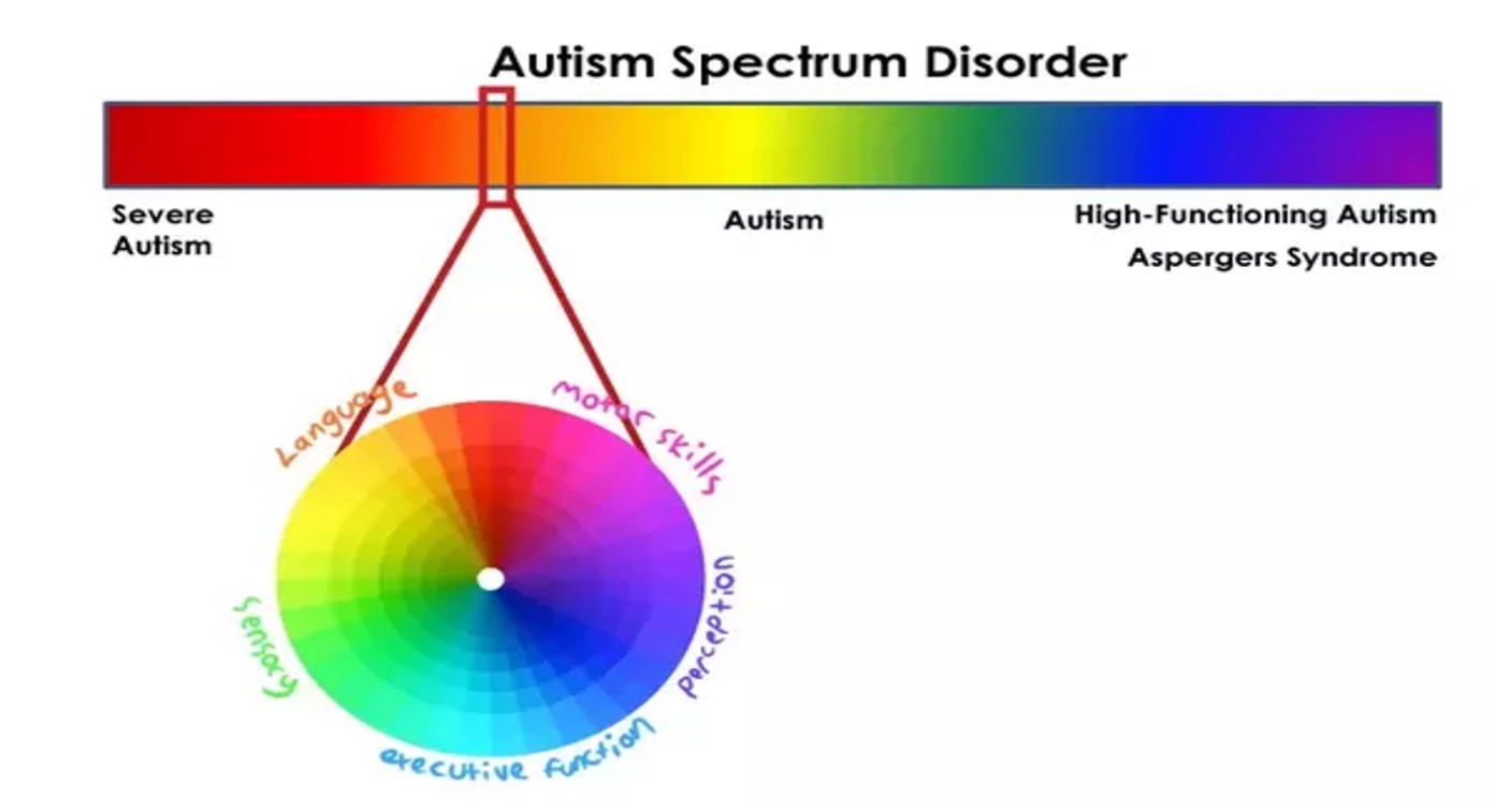 Cosa intendiamo con spettro autistico: cause, sintomi e diagnosi ...