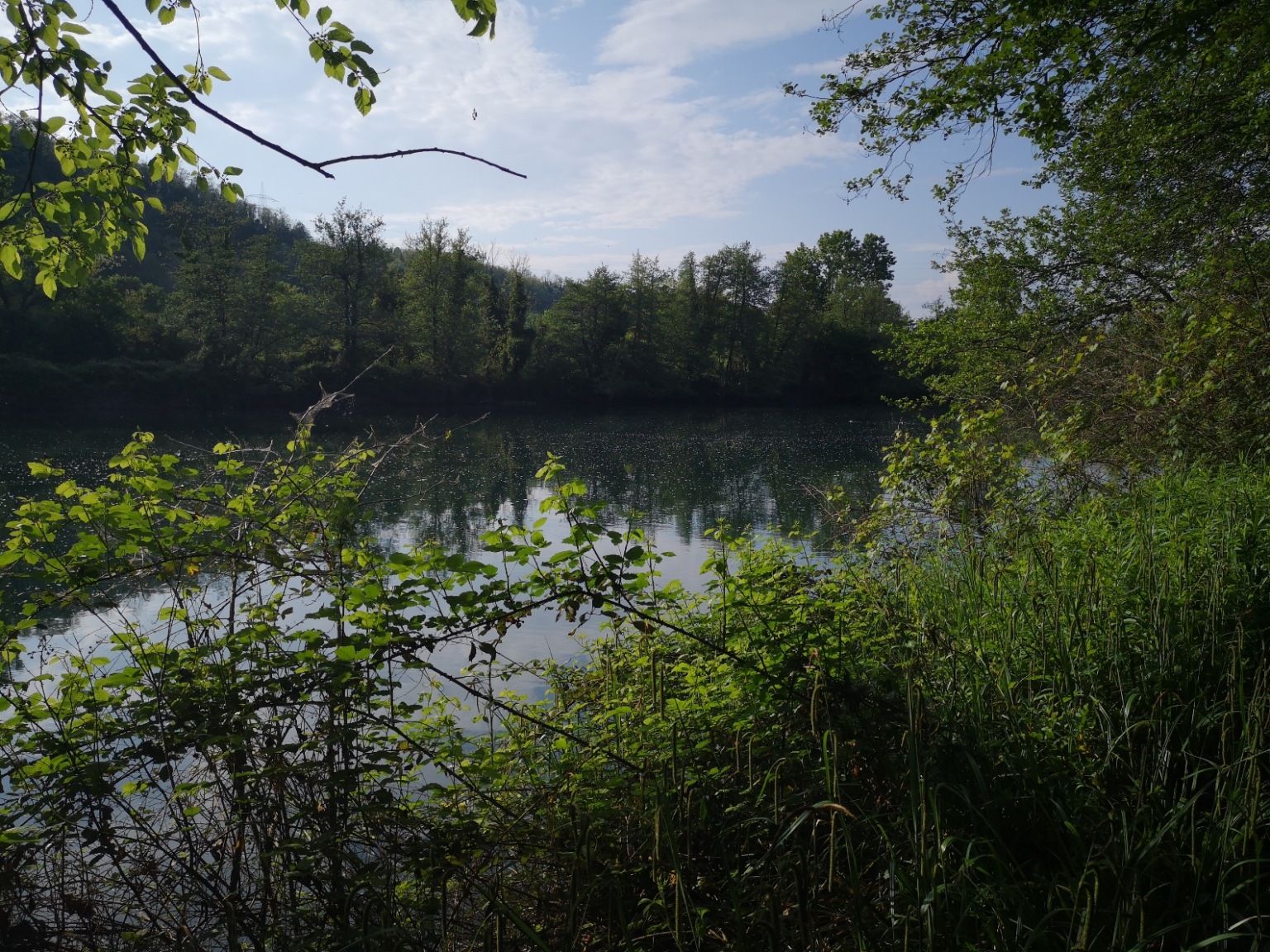 Parco Adda Nord: progetto di ripristino del sentiero leonardesco ...