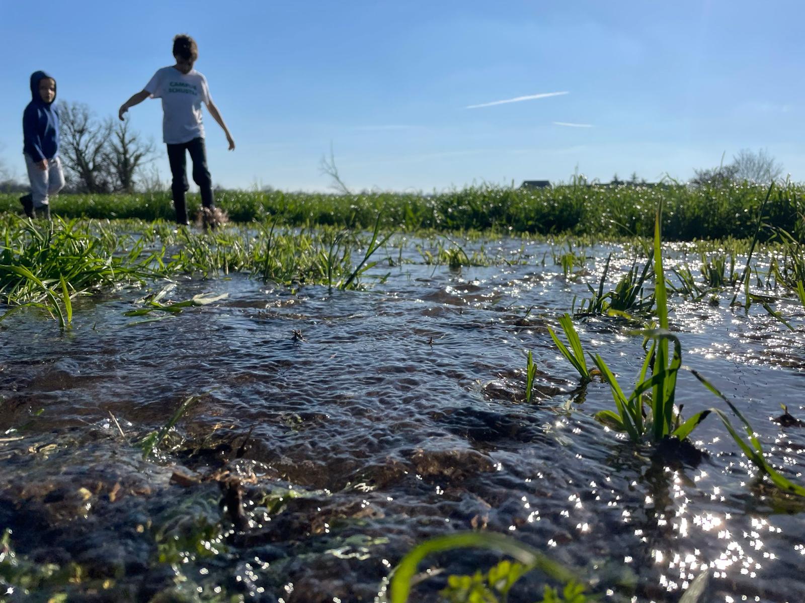 Un'eredità da mantenere: contributi in arrivo per le marcite nel Parco ...