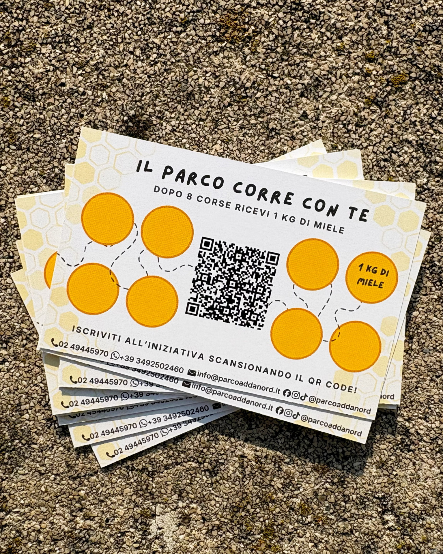 "Il Parco corre con te": sport, scoperta del territorio e biodiversità ...